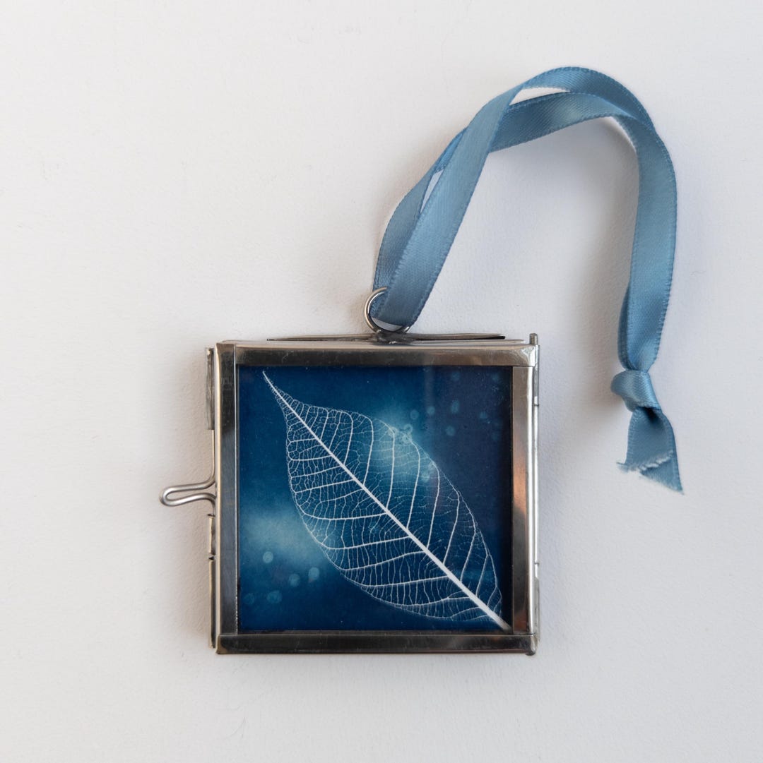 Original Botanical Art Cyanotype Print in a 5 X 5cm Metal Photo Frame ...