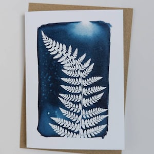 Pack of Four Blank Greetings Cards With Reproductions of My Cyanotype ...