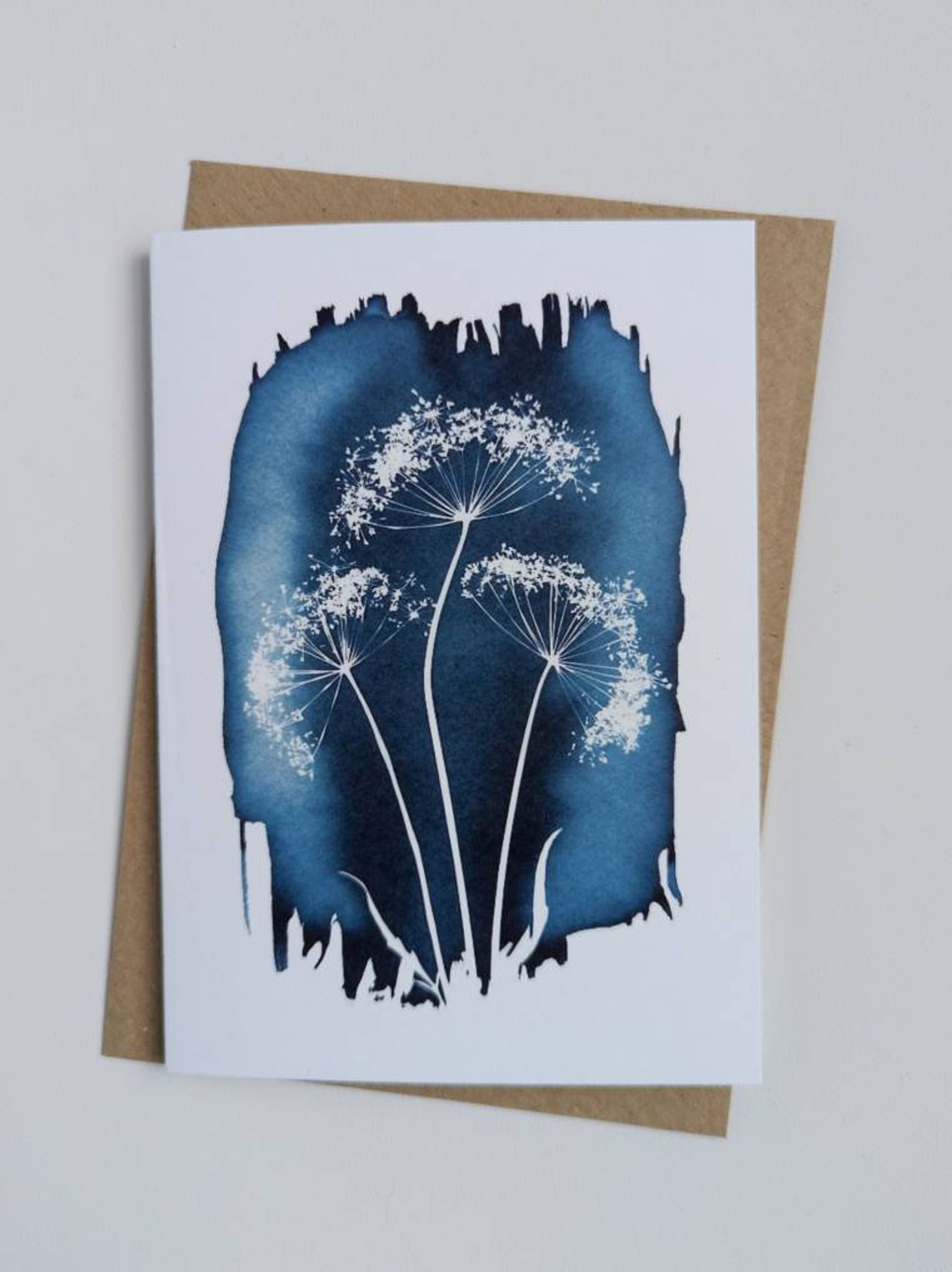 Pack of Eight Blank Greetings Cards With Reproductions of My Cyanotype ...