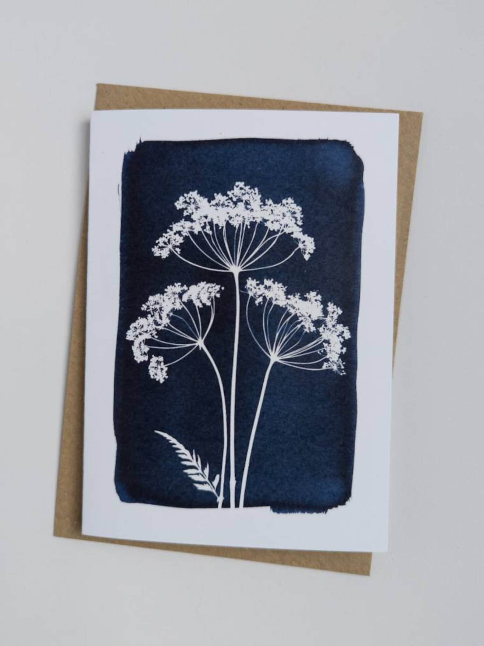 Pack of Eight Blank Greetings Cards With Reproductions of My Cyanotype ...
