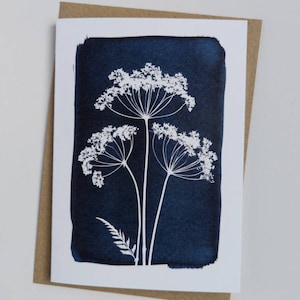 Pack of Eight Blank Greetings Cards With Reproductions of My Cyanotype ...
