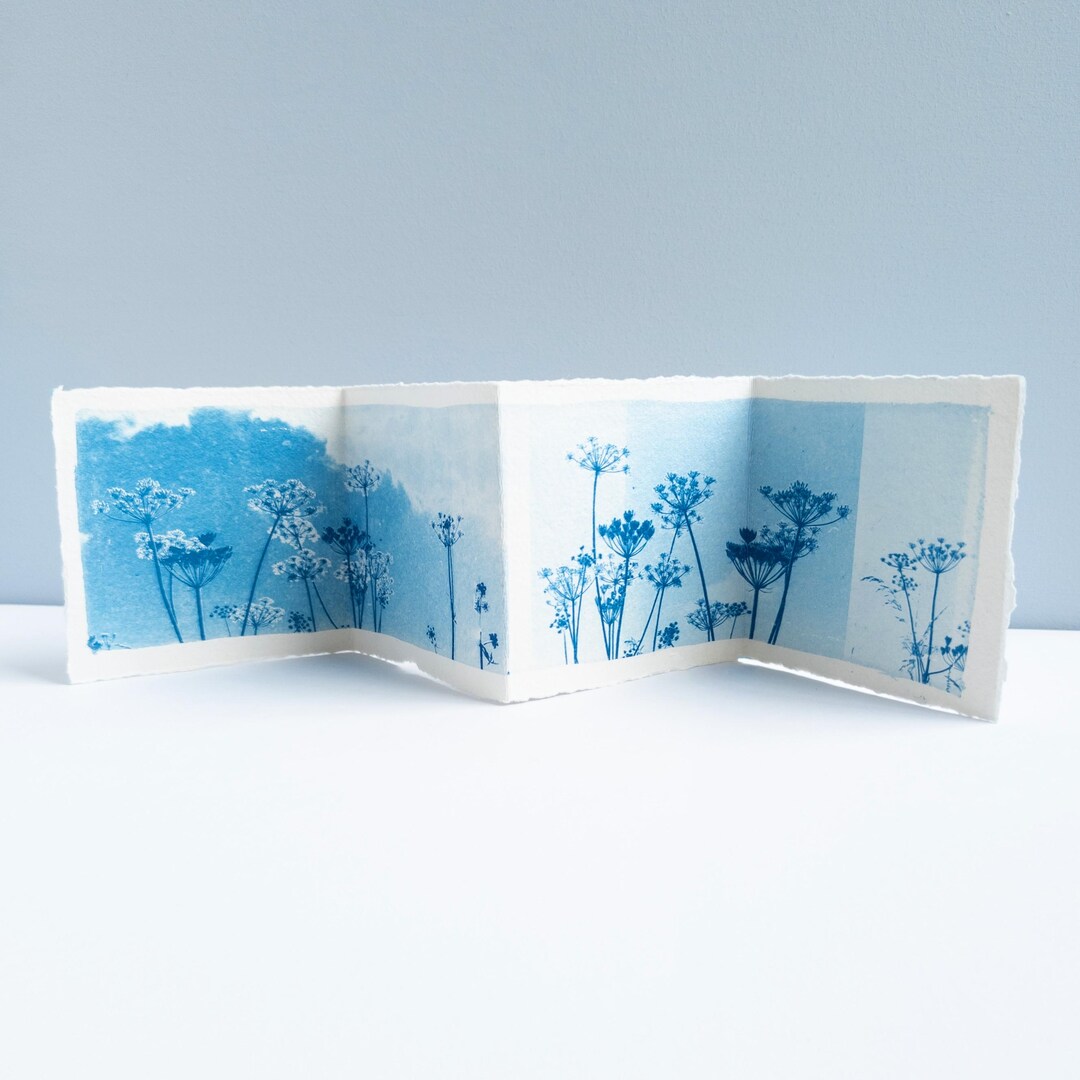 Original Art Cyanotype Concertina / Accordion Book on Handmade Khadi ...