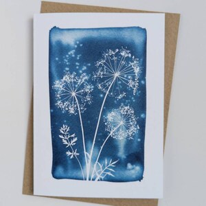 Pack of Four Blank Greetings Cards With Reproductions of My Cyanotype ...