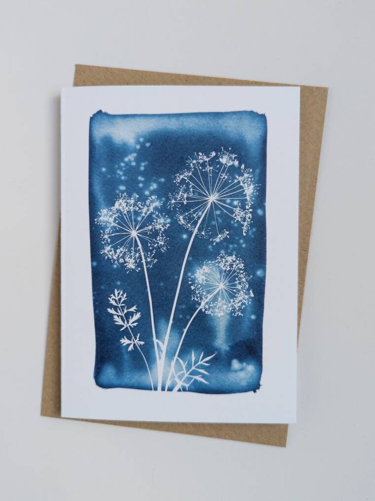 Pack of Four Blank Greetings Cards With Reproductions of My Cyanotype ...