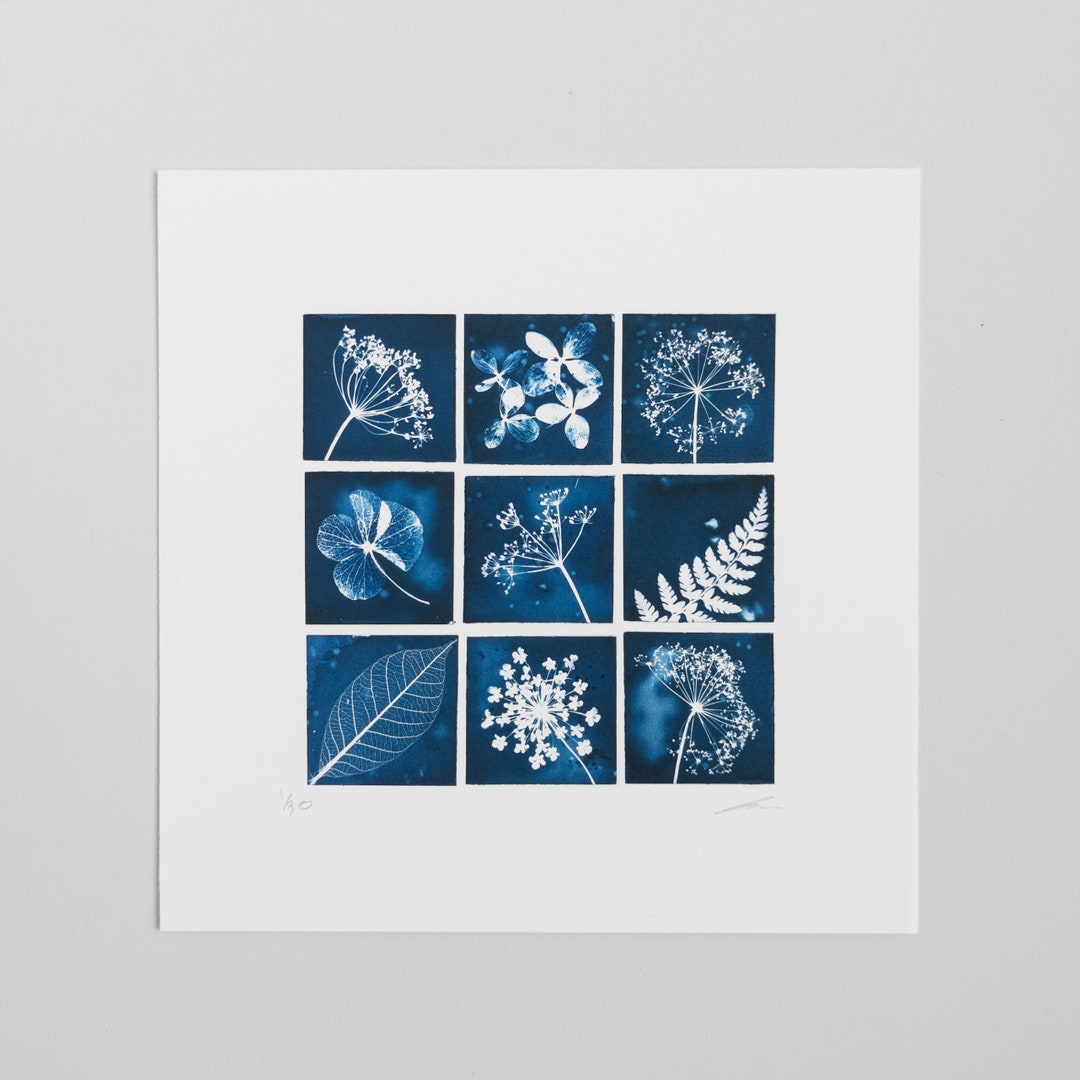 Unmounted Limited Edition Reproduction Giclee Cyanotype Print 8x 8 - Etsy