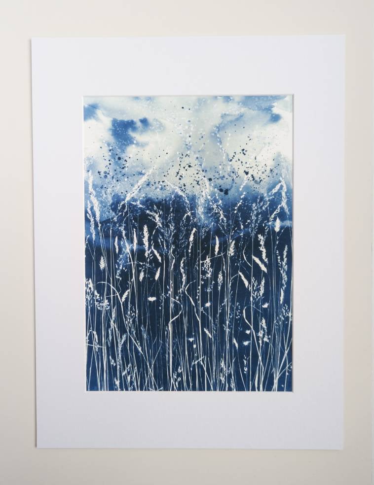 Limited Edition Reproduction Giclee Cyanotype Print of 'memories of ...