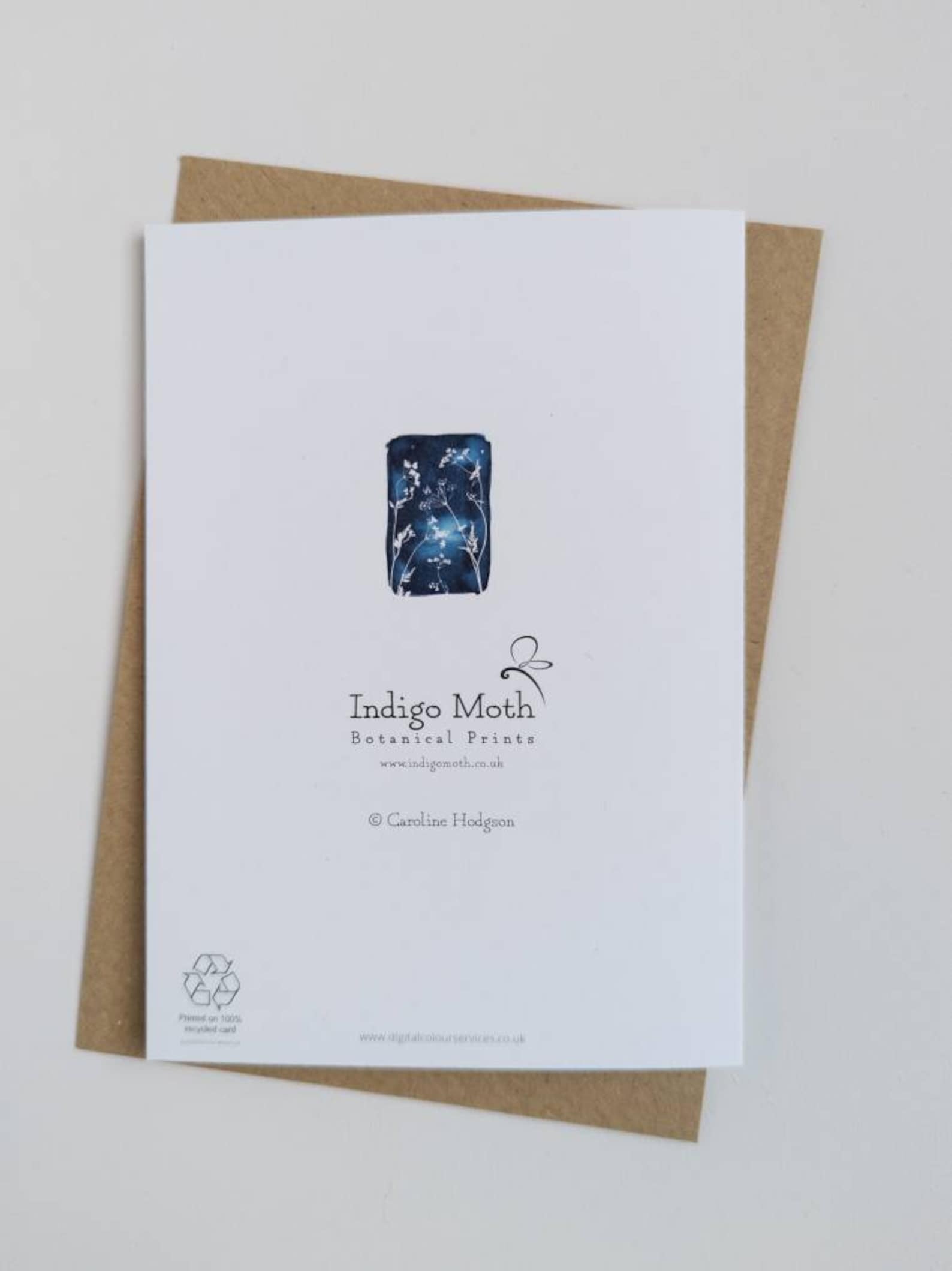Pack of Four Blank Greetings Cards With Reproductions of My Cyanotype ...