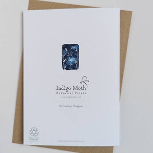 Pack of Four Blank Greetings Cards With Reproductions of My Cyanotype ...