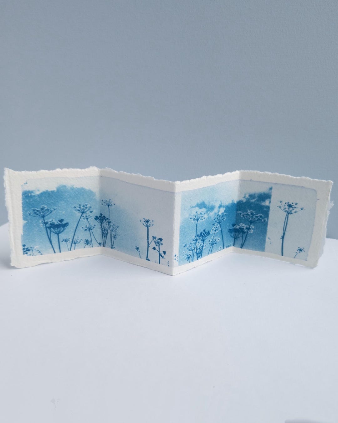 Original Art Cyanotype Mini Concertina / Accordion Book on Handmade ...