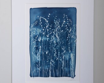 A4 Unmounted Original Botanical Art Cyanotype Print - Etsy
