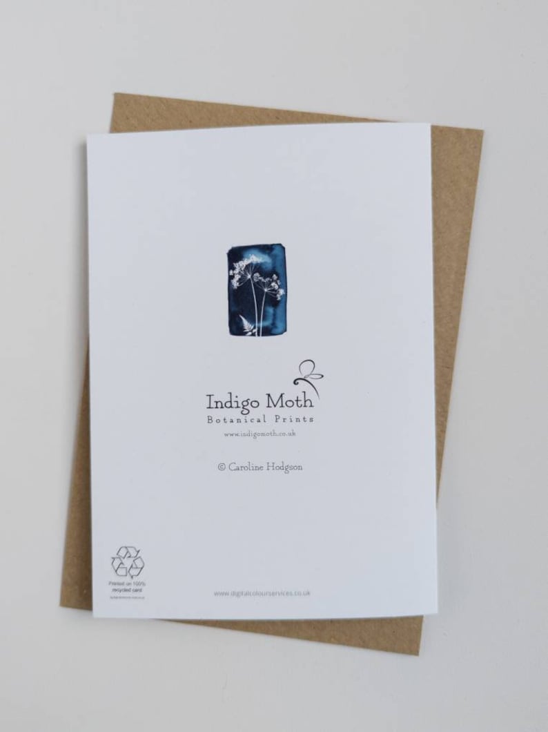 Pack of Four Blank Greetings Cards With Reproductions of My - Etsy