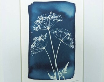 Cyanotype Print | Etsy