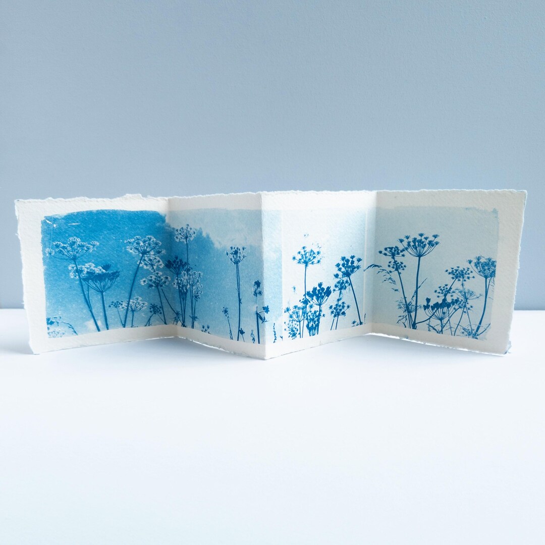 Original Art Cyanotype Concertina / Accordion Book on Handmade Khadi ...