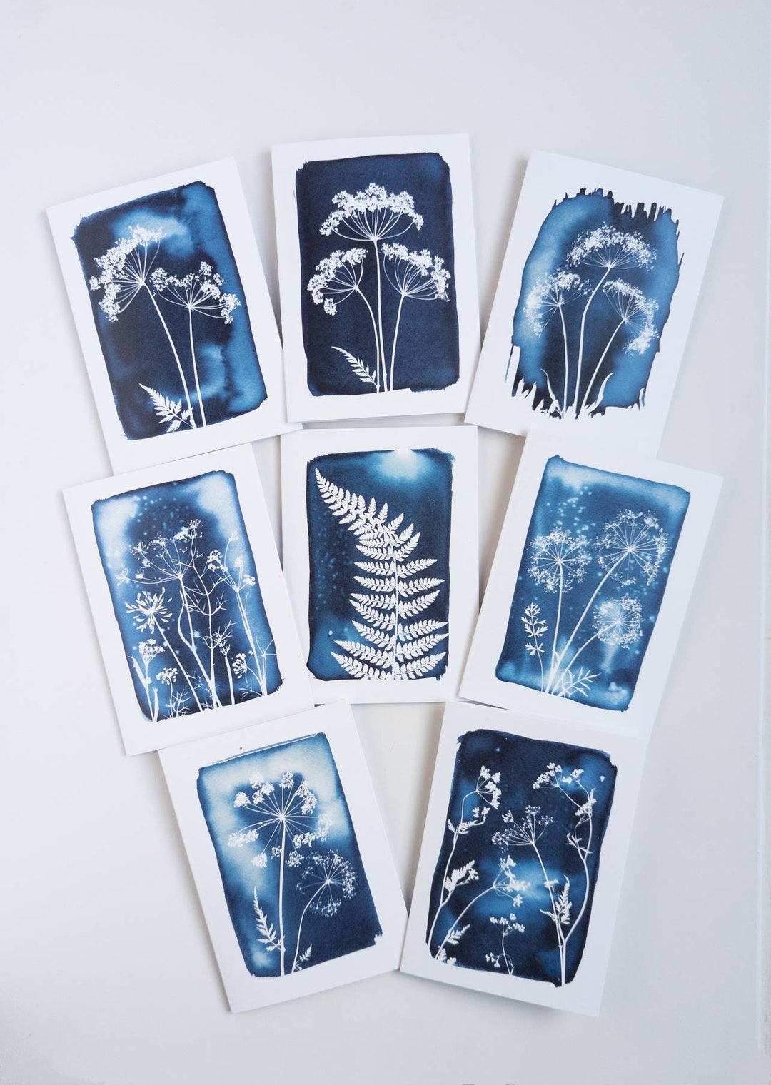 Pack of Eight Blank Greetings Cards With Reproductions of My Cyanotype ...
