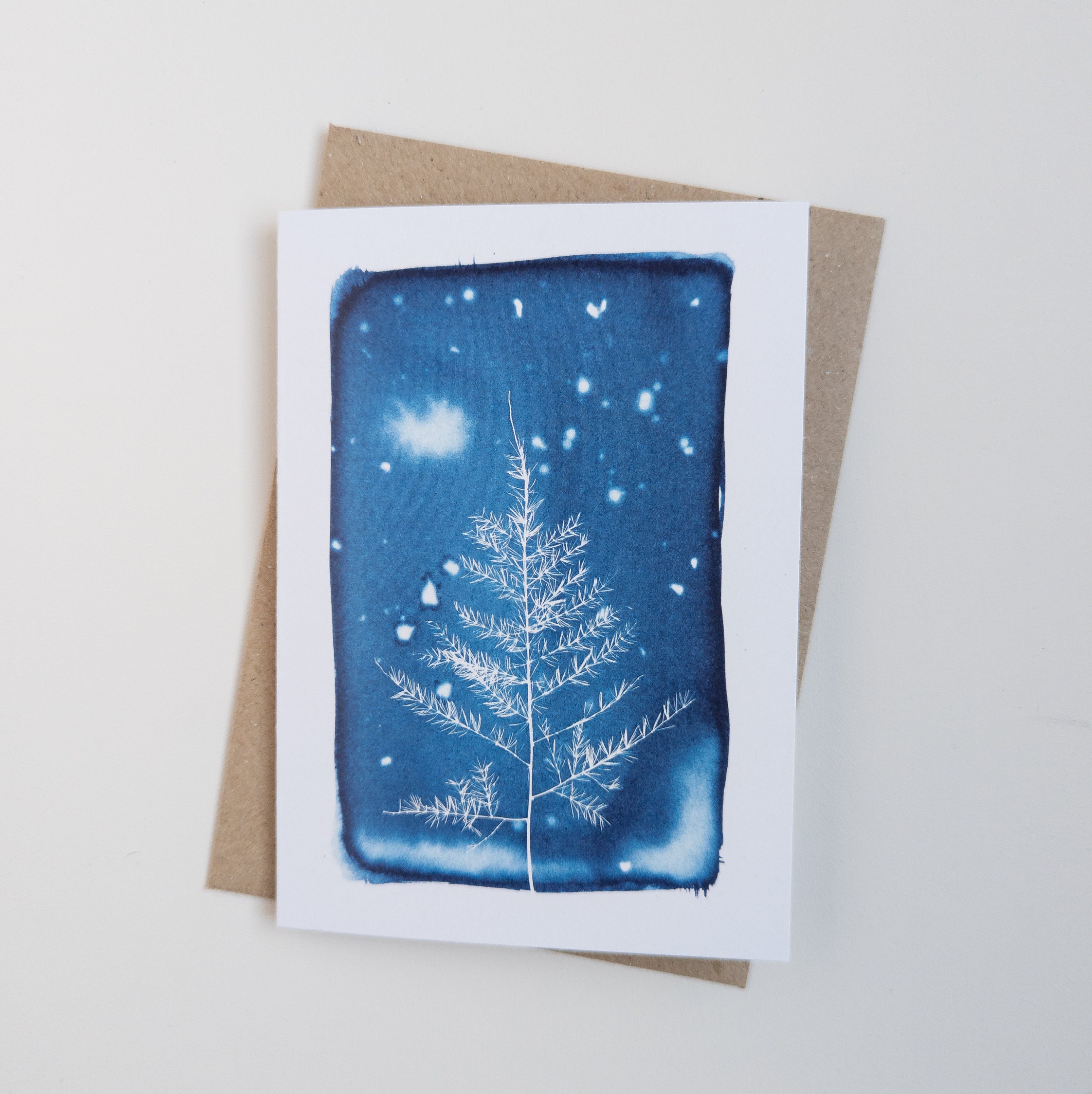 Pack of Four Blank Christmas Cards With Reproductions of My Cyanotype ...