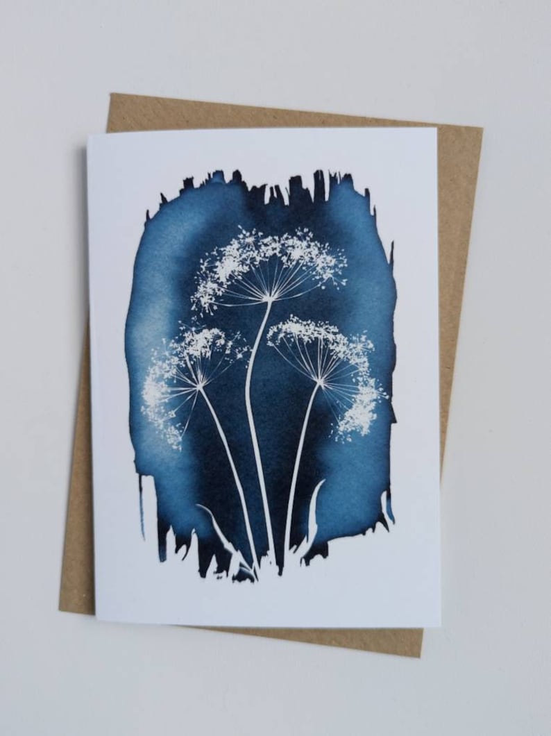 Pack of Four Blank Greetings Cards With Reproductions of My Cyanotype ...