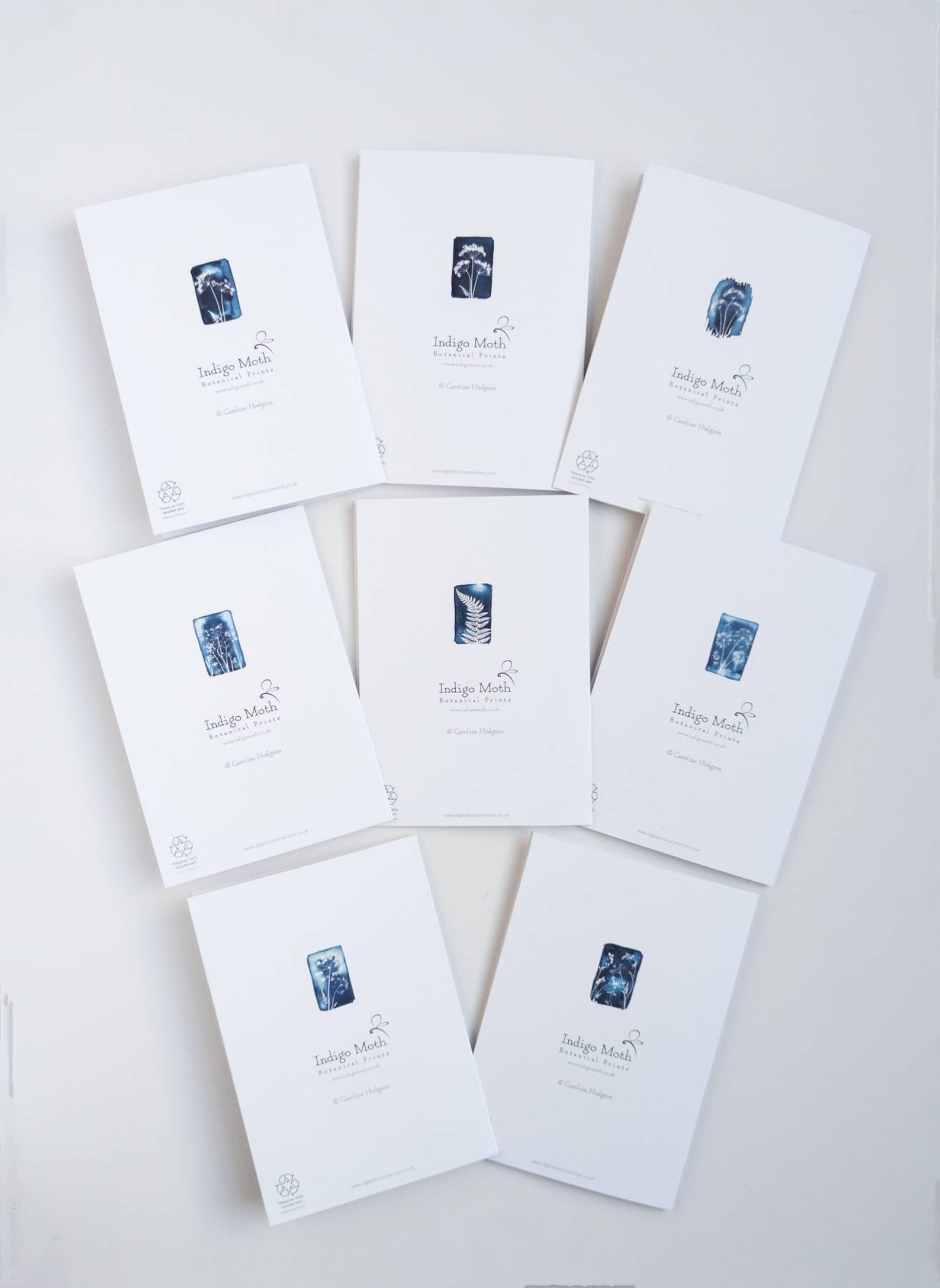 Pack of Eight Blank Greetings Cards With Reproductions of My Cyanotype ...