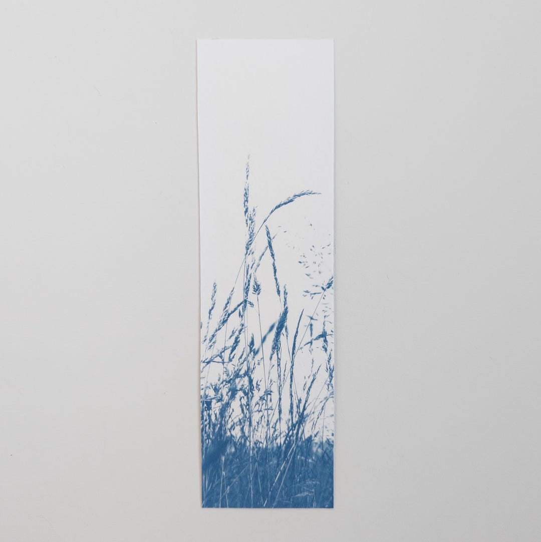 Original Botanical Art Cyanotype Print Bookmark - Etsy