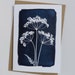 Pack of Four Blank Greetings Cards With Reproductions of My Cyanotype ...