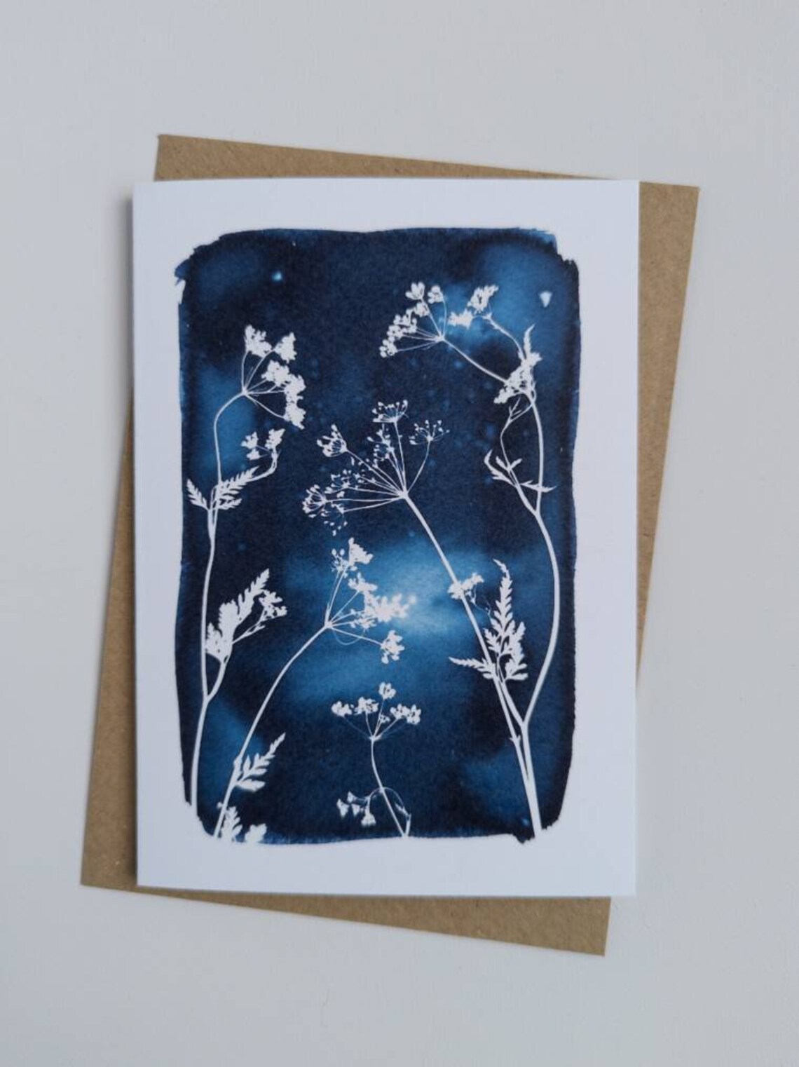 Pack of Four Blank Greetings Cards With Reproductions of My Cyanotype ...