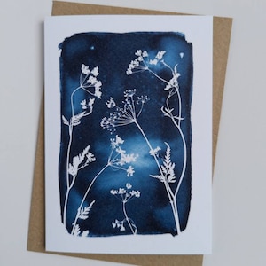 Pack of Four Blank Greetings Cards With Reproductions of My Cyanotype ...