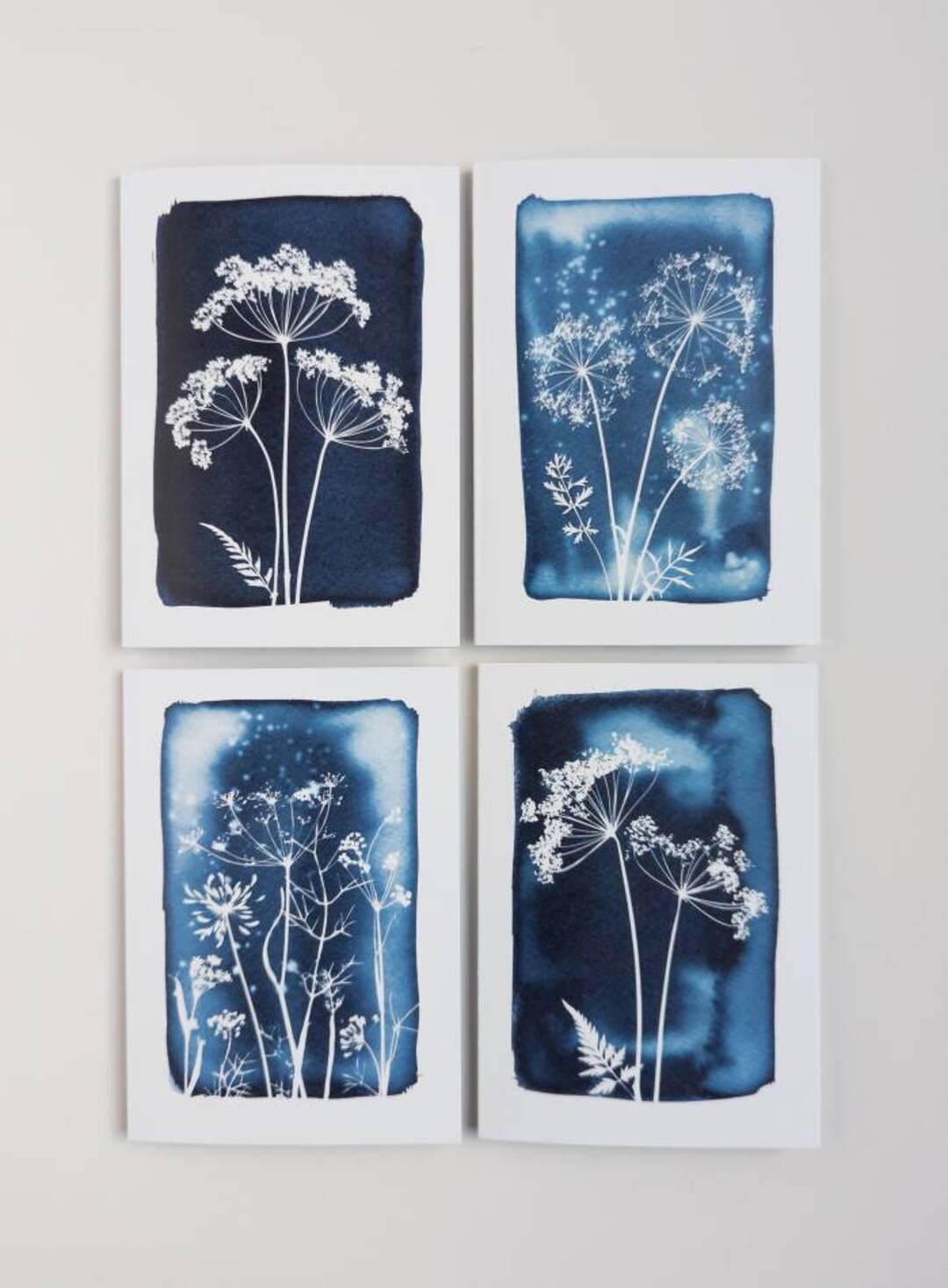 Pack of Four Blank Greetings Cards With Reproductions of My Cyanotype ...