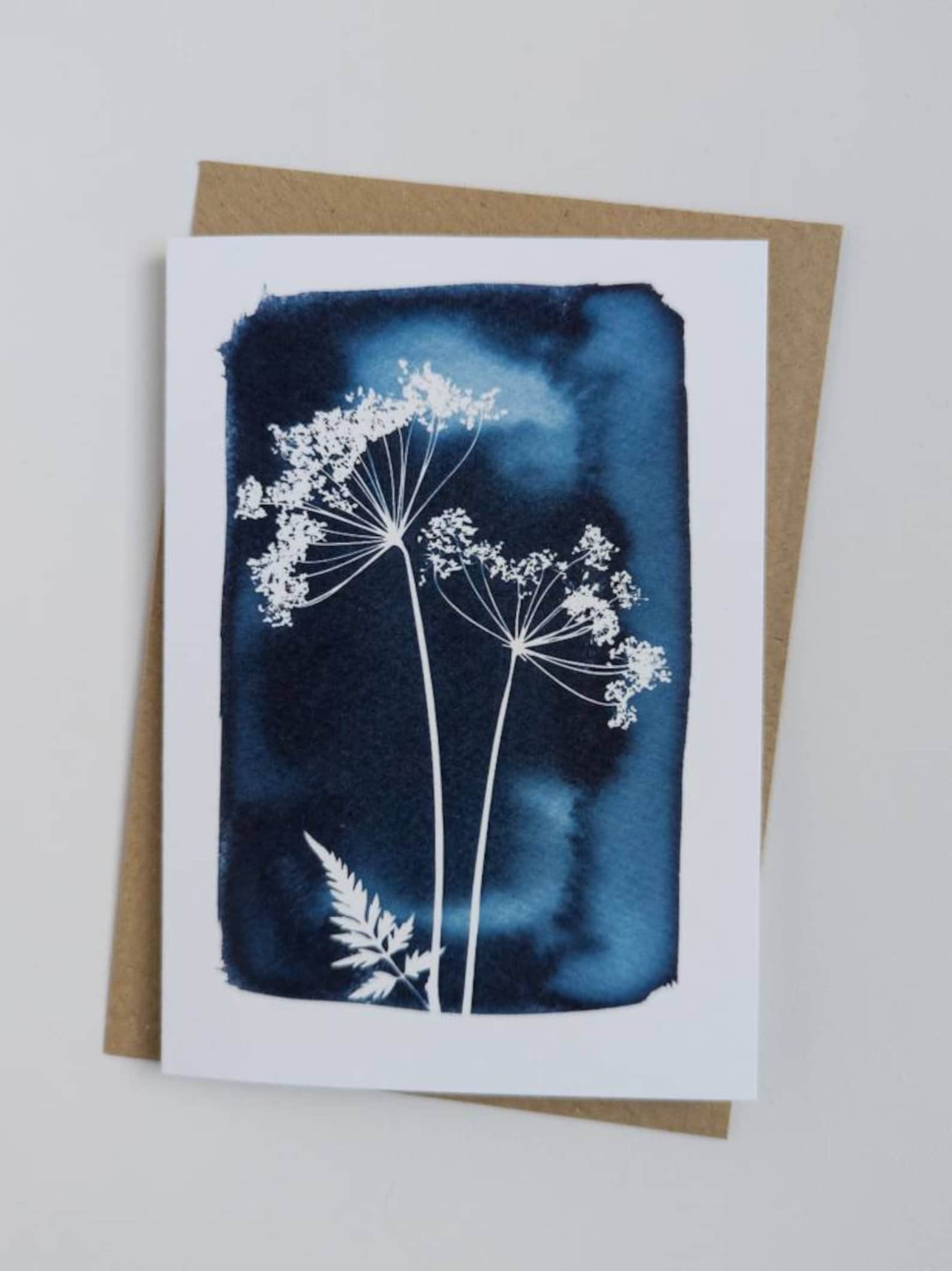 Pack of Eight Blank Greetings Cards With Reproductions of My Cyanotype ...