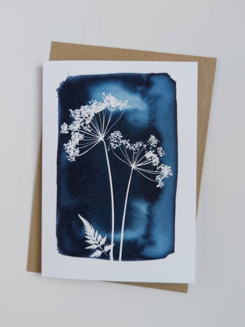Pack of Eight Blank Greetings Cards With Reproductions of My Cyanotype ...