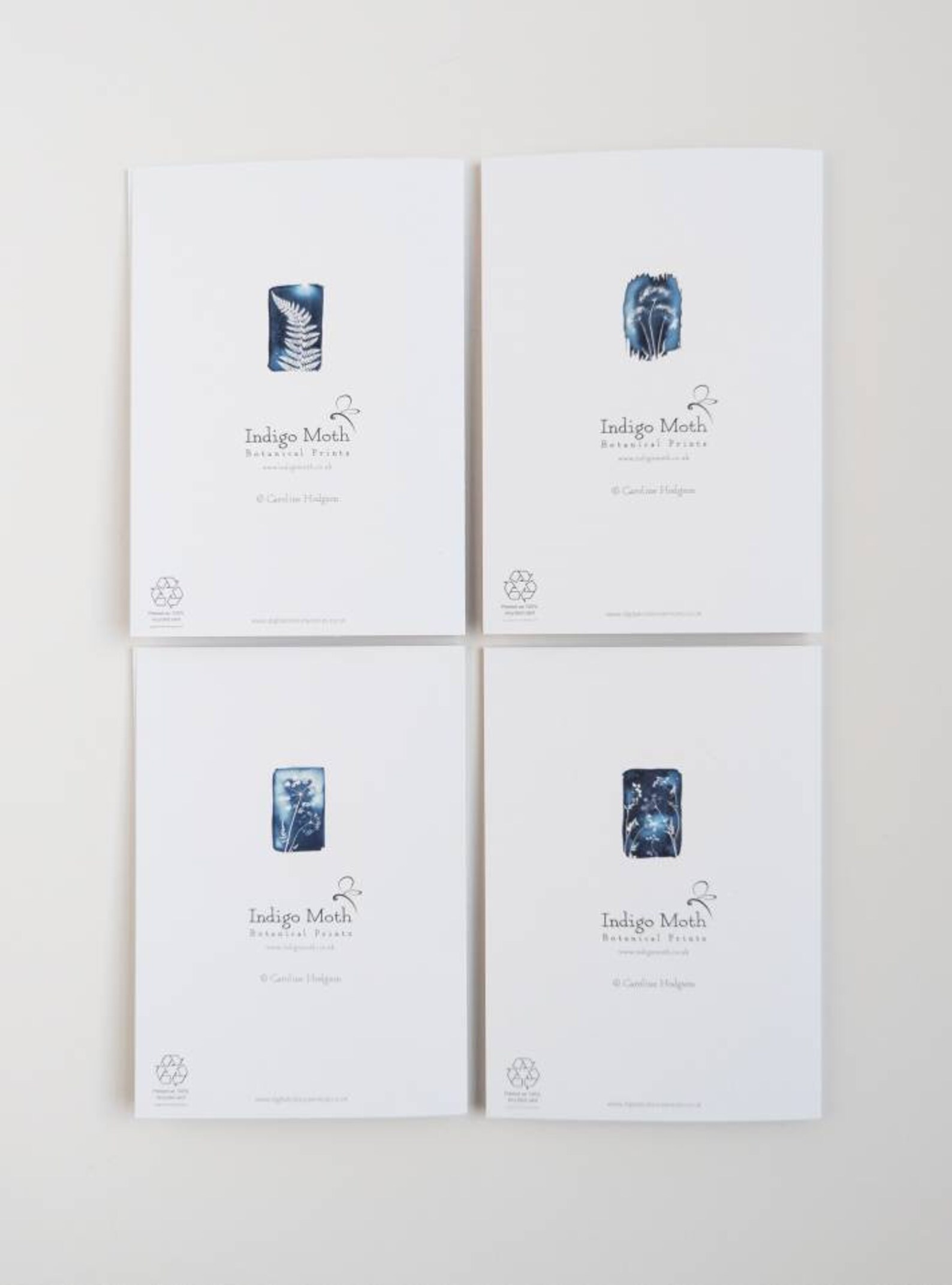 Pack of Four Blank Greetings Cards With Reproductions of My Cyanotype ...