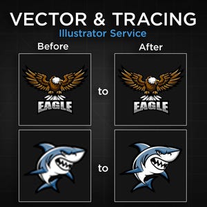 Image to Vector Conversion Service, Redraw & Upscale Design (digital ...
