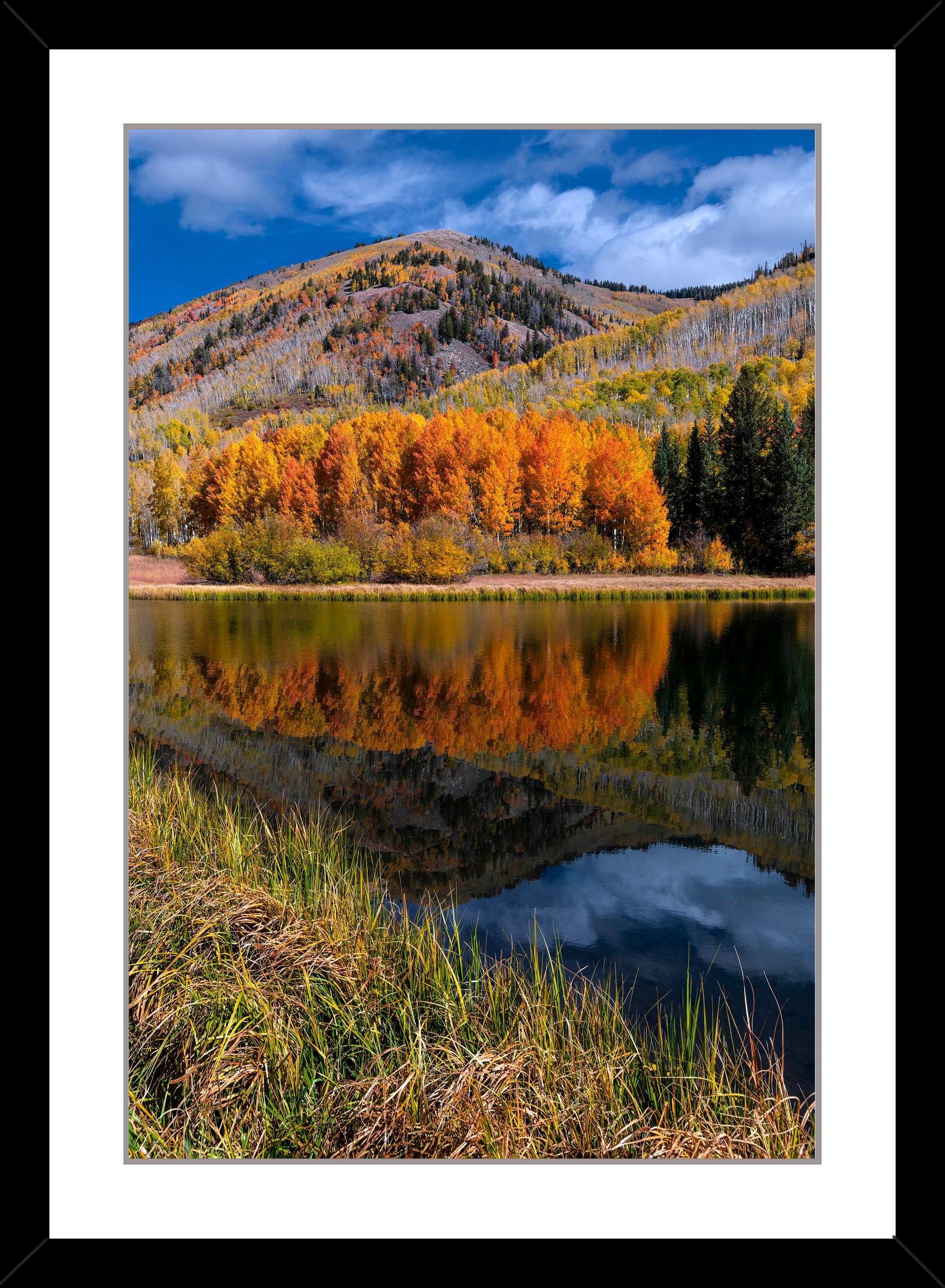 Warner Lake Utah Foliage Aspen Trees Moab Wall Art Large - Etsy