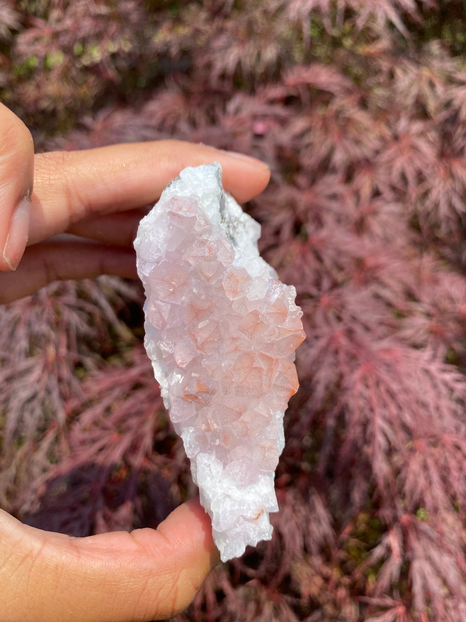 Red Quartz Hematite Pyrite and Dolomite Specimen | Etsy