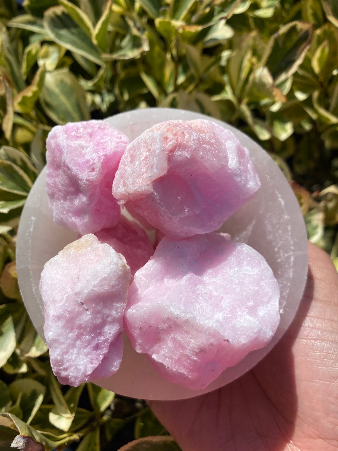 Pink Aragonite Raw Crystal Healing Crystal Stones Rocks | Etsy