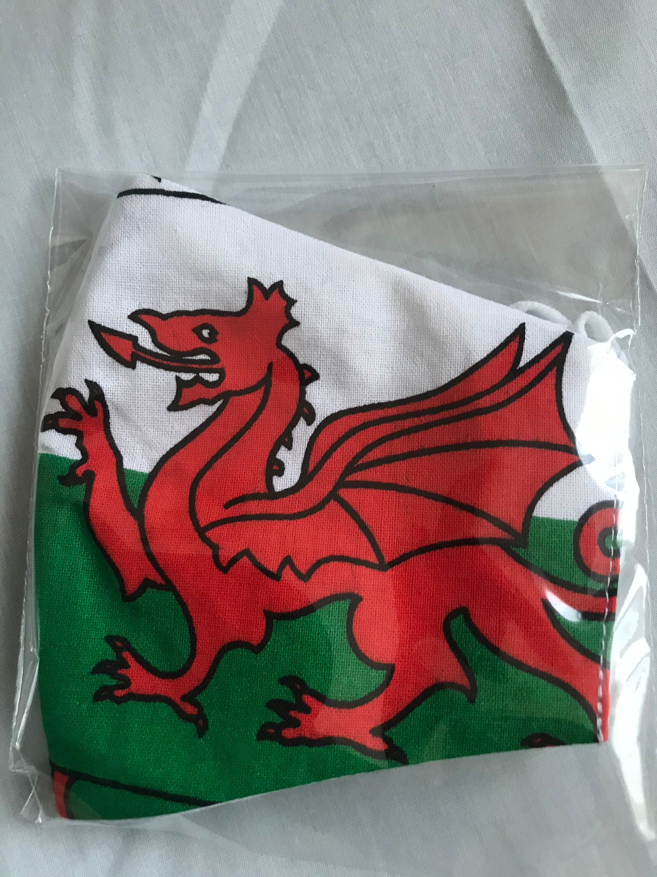 Welsh/wales Red Dragon Emblem/flag Face Mask - Etsy UK