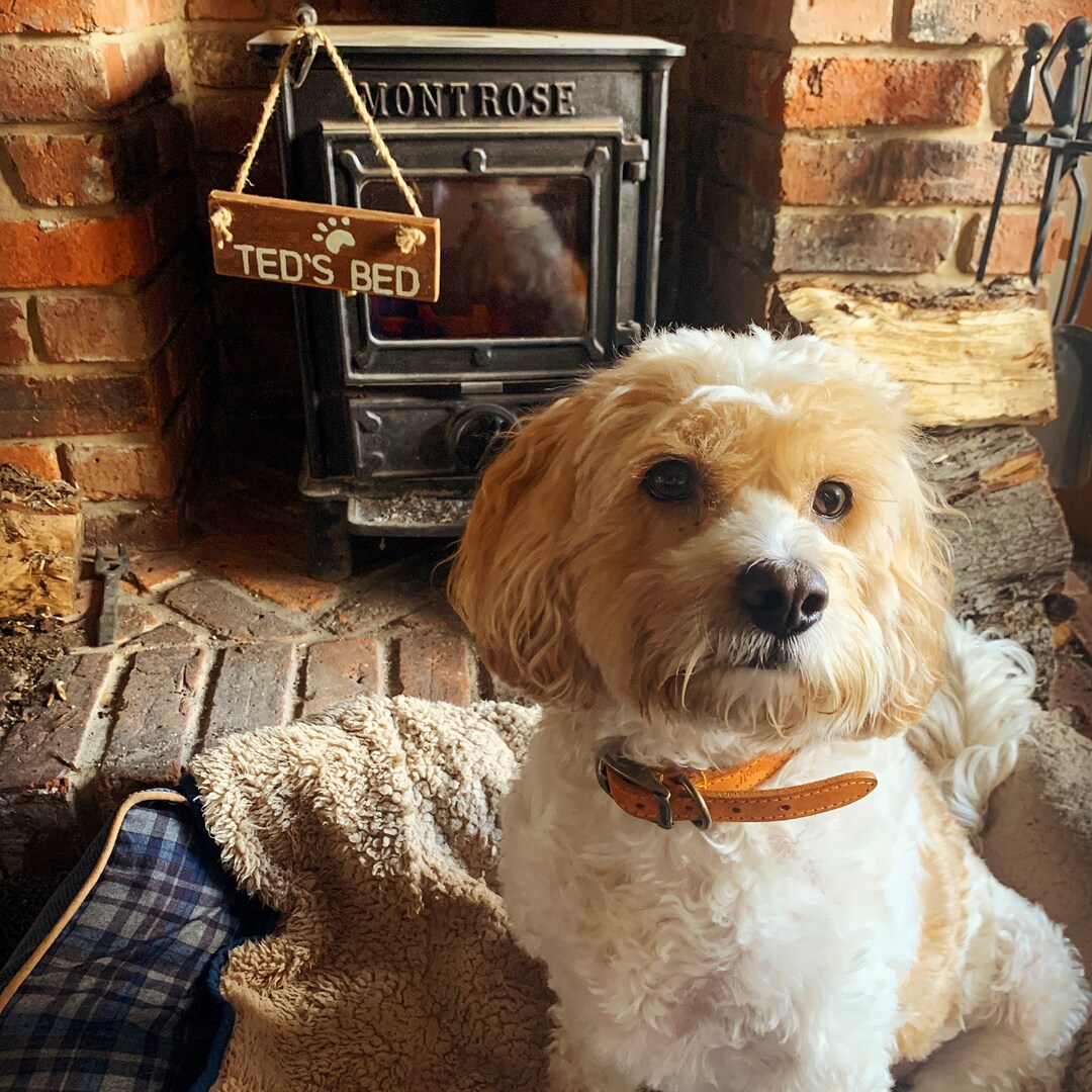 Personalised Pet Sign Small Wooden Sign Dog Bed Dog Sign - Etsy