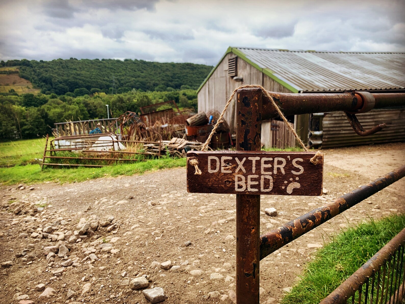 Personalised Pet Sign Small Wooden Sign Dog Bed Dog Sign | Etsy