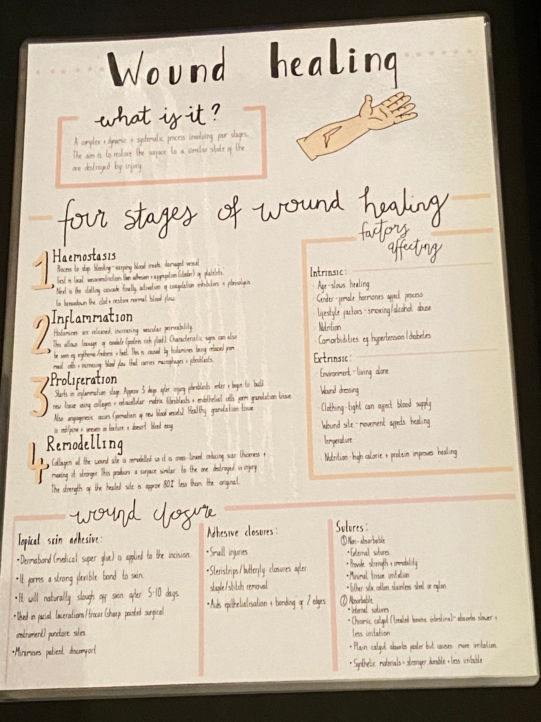 Wound healing summary notes | Etsy