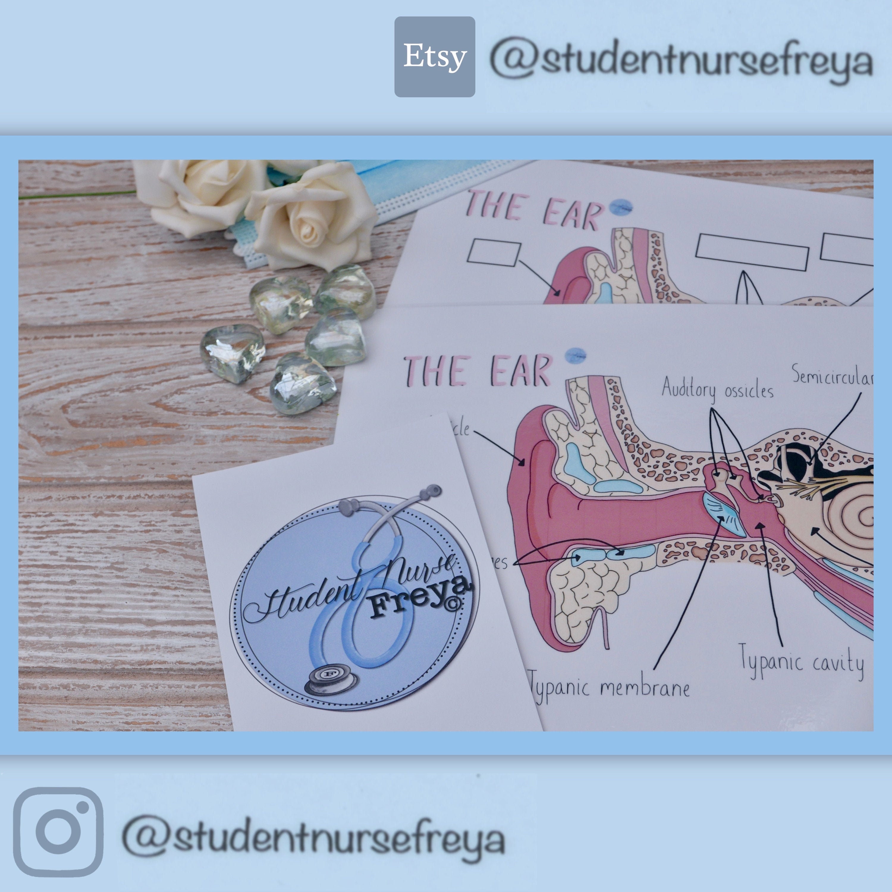 Ear Anatomy Diagram Blank