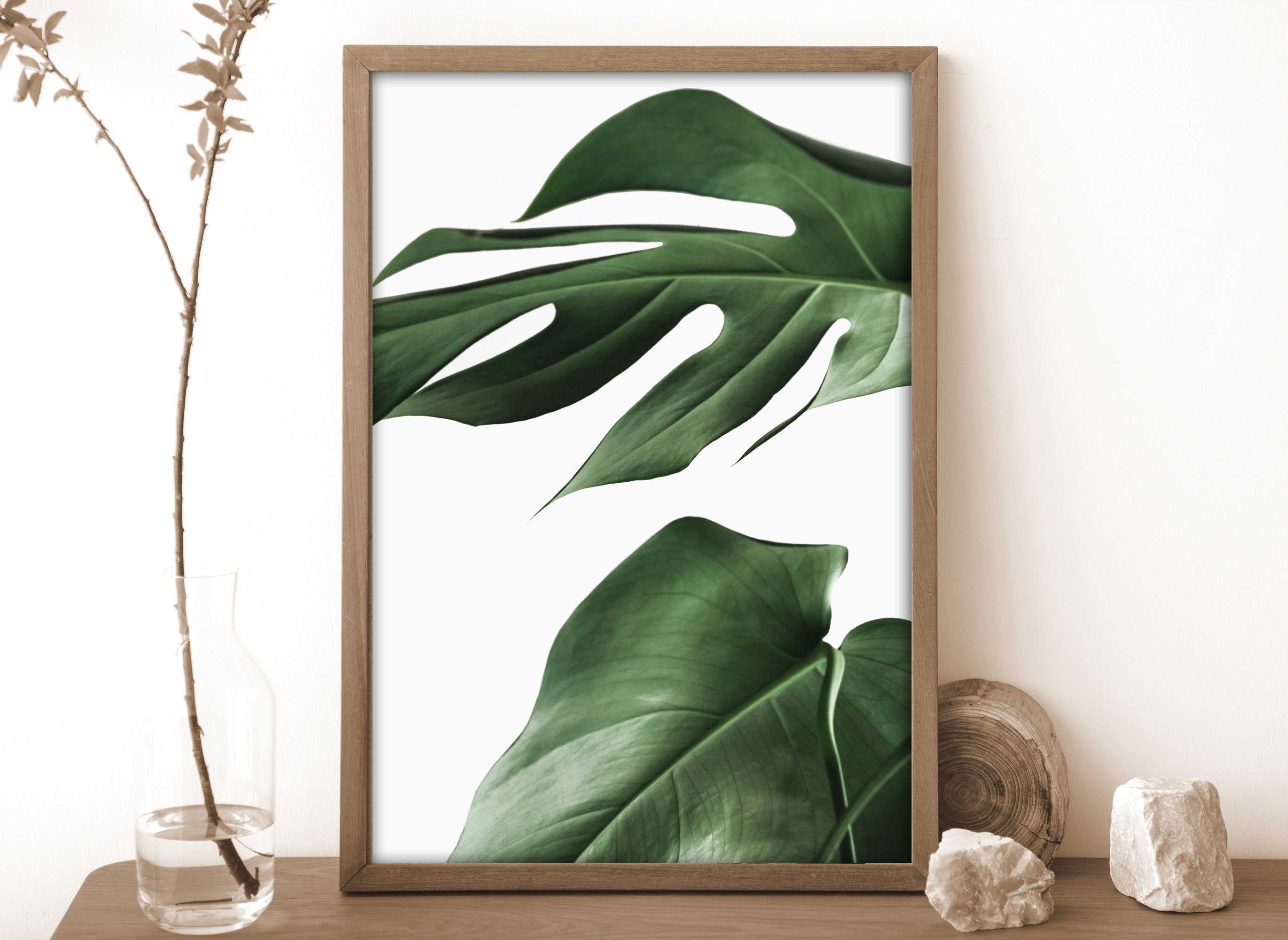 Monstera Printable Wall Art, Monstera Leaf, Plant Art, House Plants ...