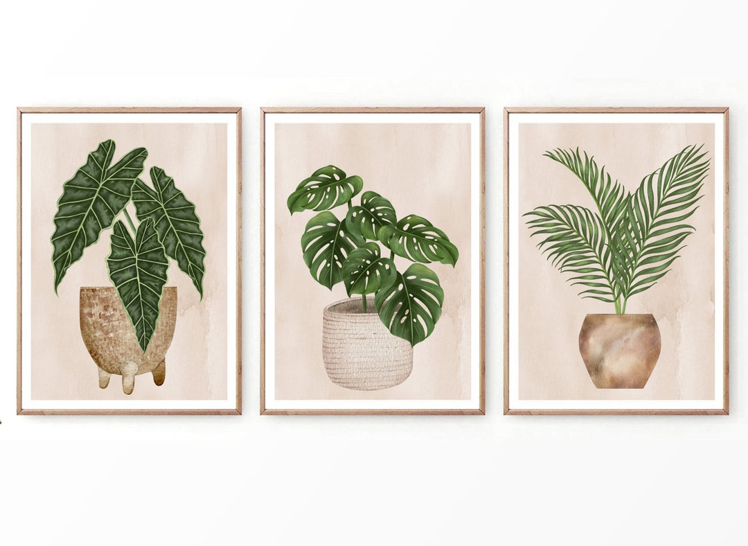 Boho Wall Art Set of 3, House Plants Printables, Alocasia, Monstera ...