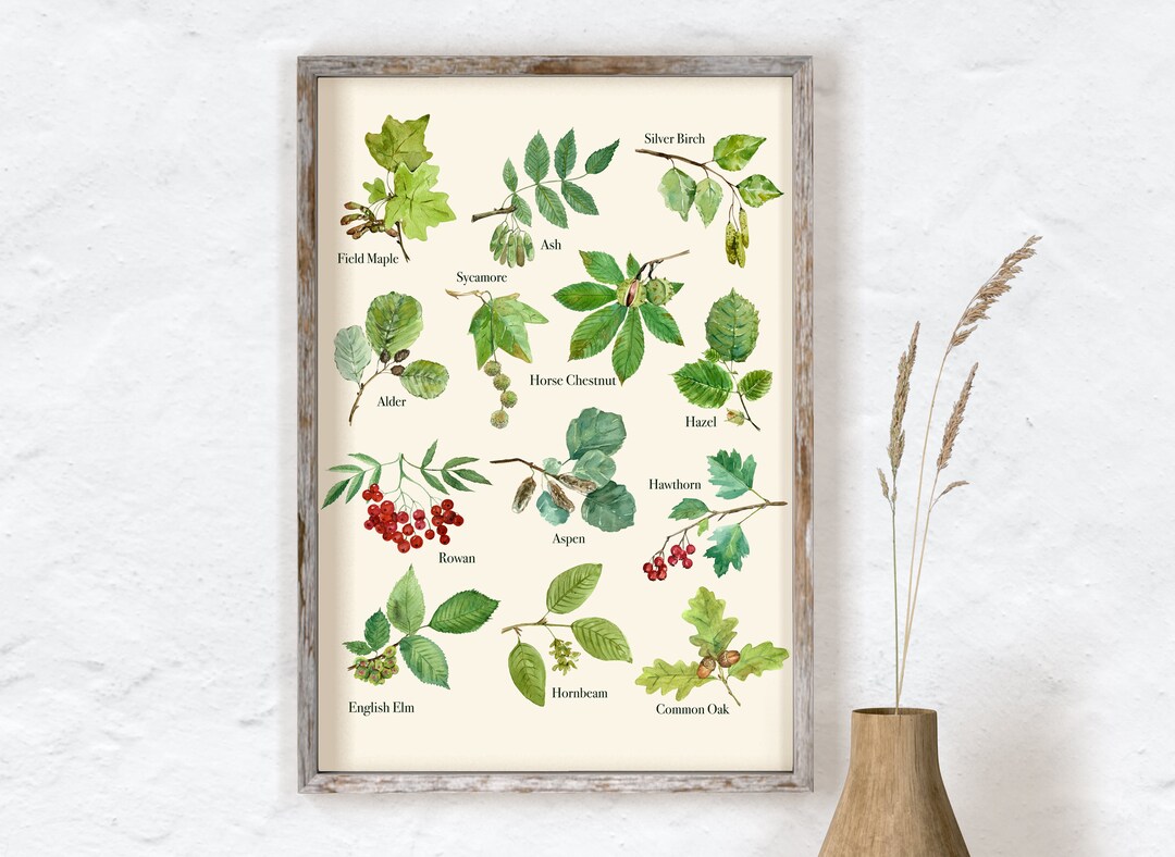 Herbs Poster, Common Herbs, Watercolor Herbs Wall Signs, Printable ...