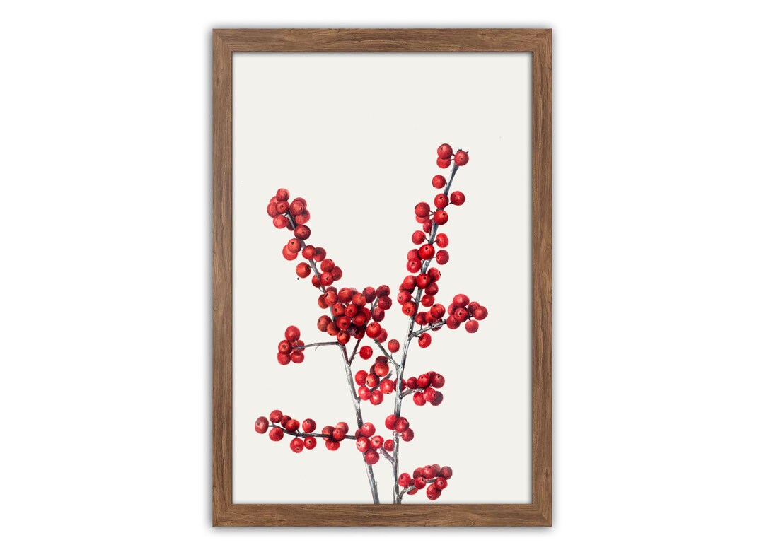 Winterberry Art Print, Botanical Art, Kokina, Ruscus Aculeatus ...