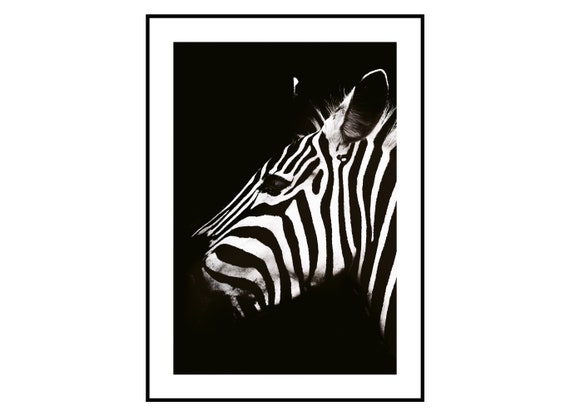 Zebra Print Zebra Wall Art Animal Photo Zebra Download | Etsy
