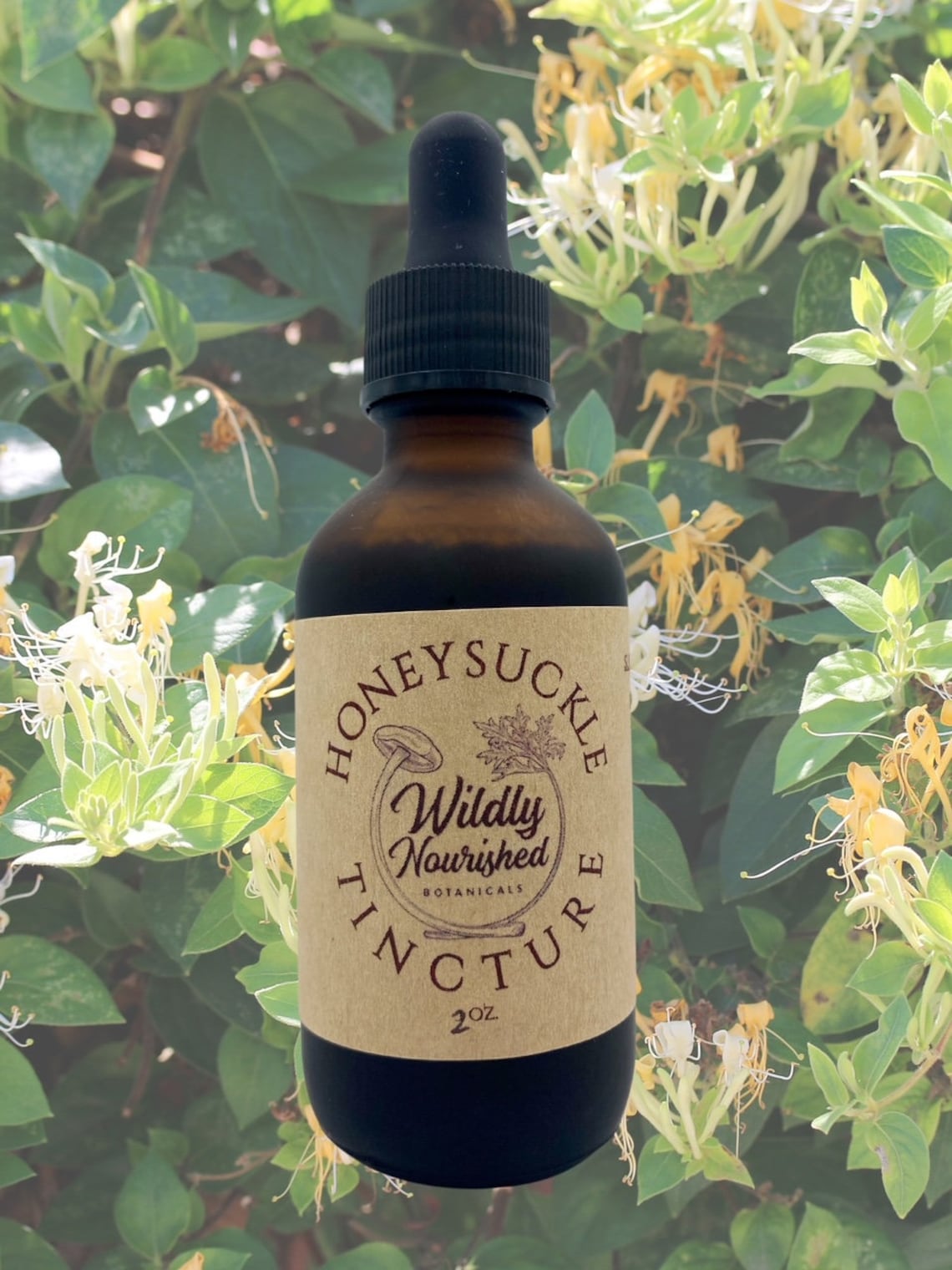 Fresh Honeysuckle Flower + Leaf Tincture Herbal Extract - Etsy