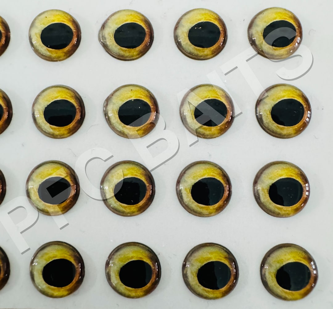 White Fish Eyes Fish Eyes Fishing Lure Eyes 3D Fish Eyes - Etsy