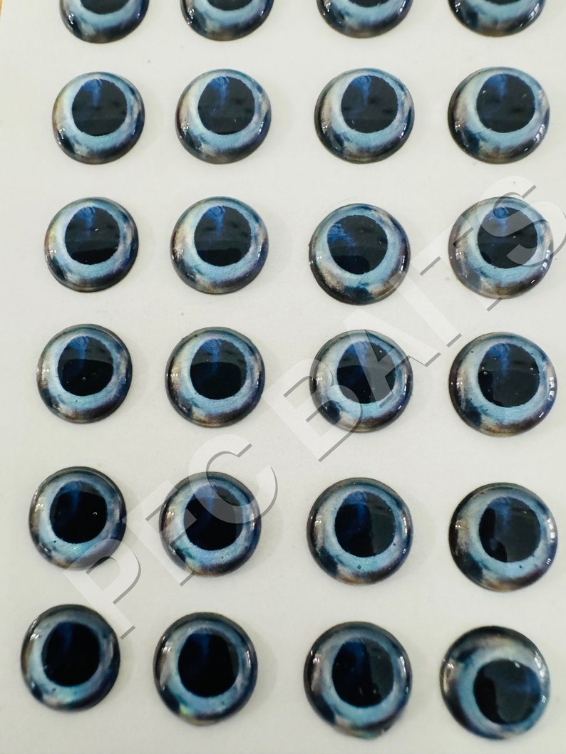 Bonita Eyes Fish Eyes Fishing Lure Eyes 3D Fish Eyes - Etsy