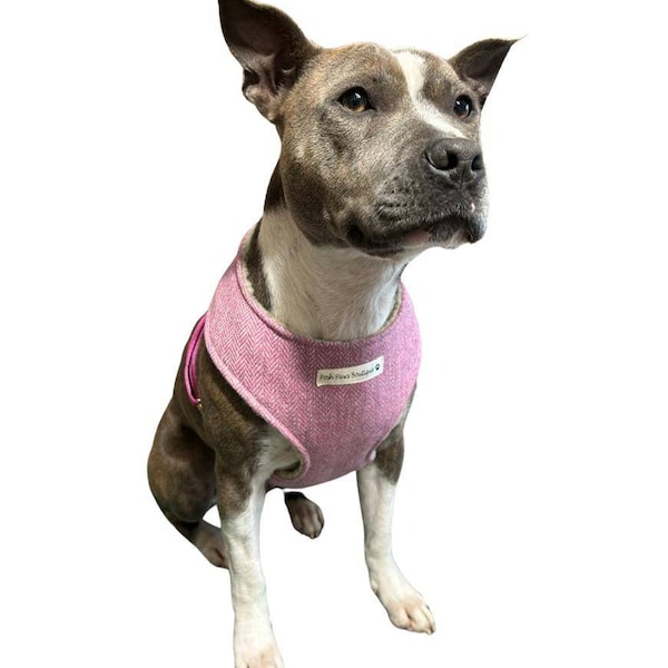 Fleece Dog Harness - Etsy