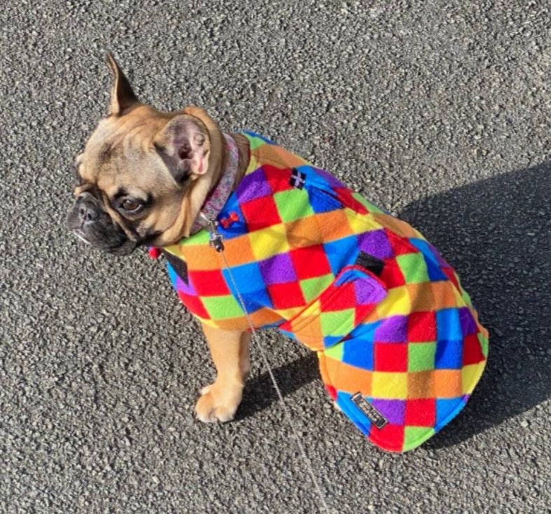 Multi Colour Check & Red Fleece Dog Coat - Etsy