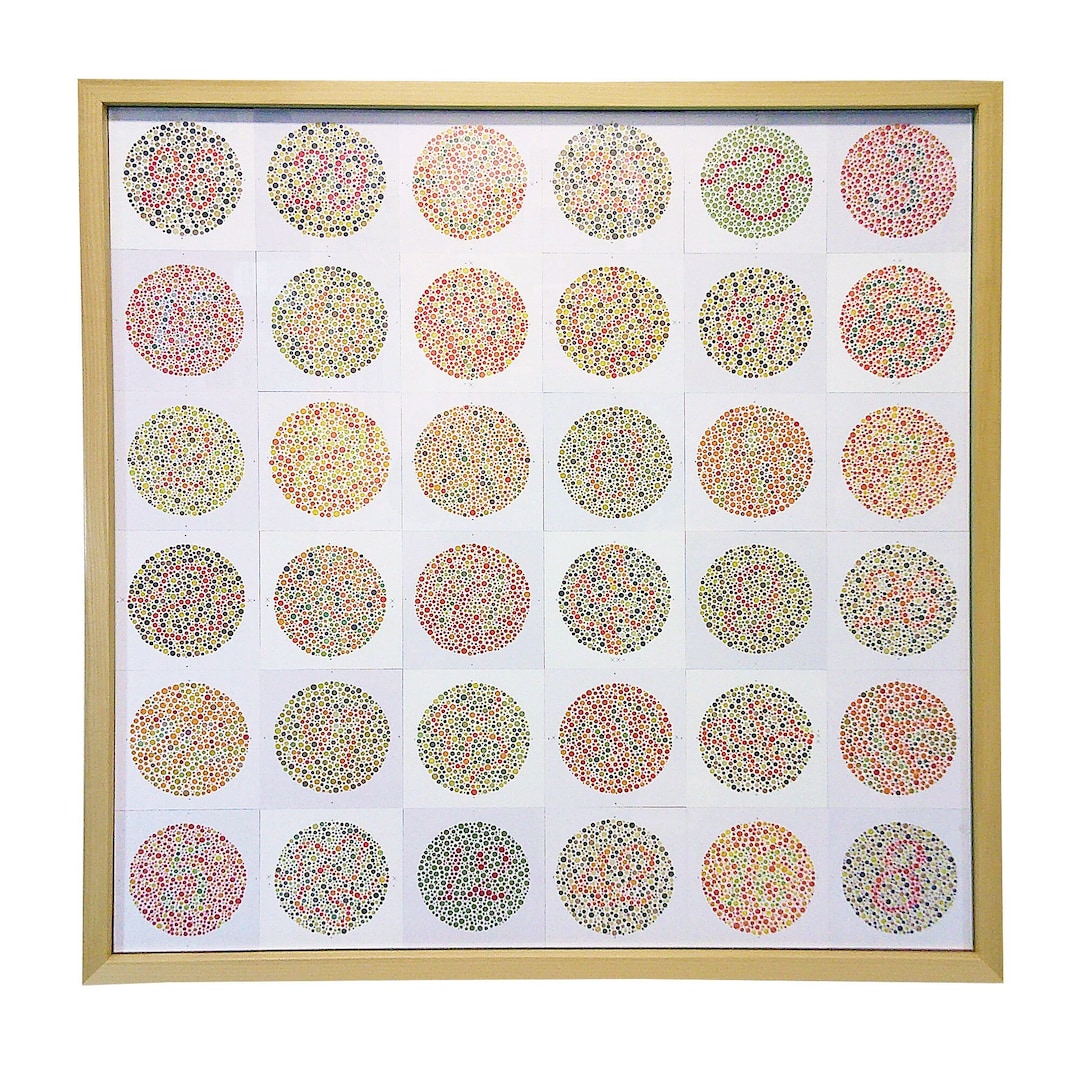 Ishihara Japanese Color Blindness Test Cards Wall Art - Etsy