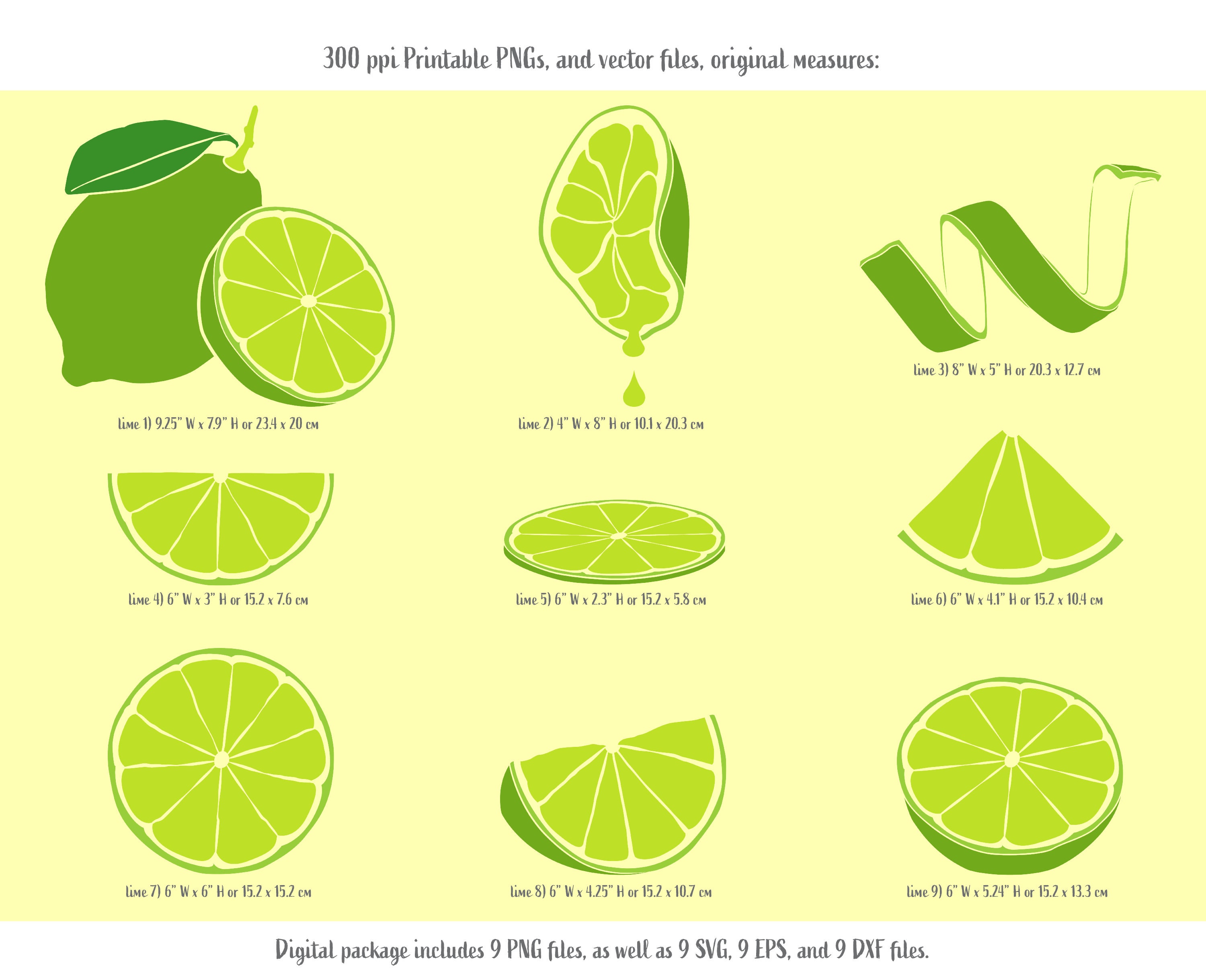 Lime svg bundle svg, lime slice clipart png, fruit svg, lime/lemonade ...